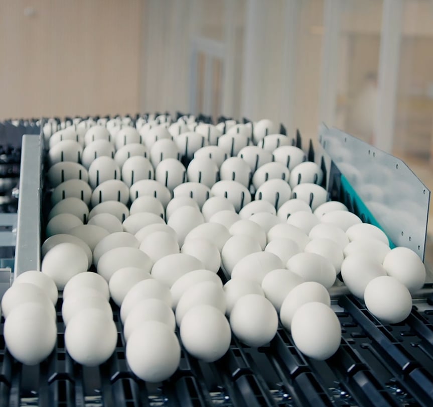 Pegasus - Vencomatic Group